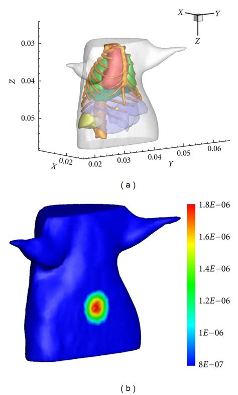 Sparse Reconstruction For Bioluminescence Tomography Based On The Semigreedy Method Pmc