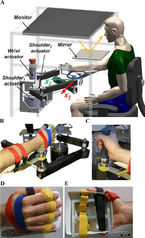 Kinematic And Dynamic Modeling A The Mass Of The Forearms Is