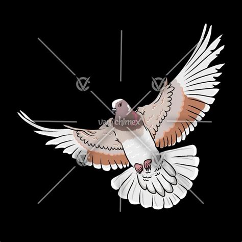 Logo Burung Merpati Vector Gambar Burung Merpati Burung