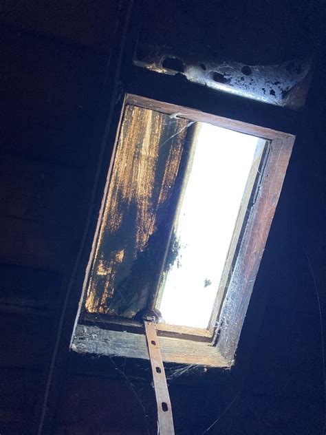 Replace Loft Window Or Tile Over It R Diyuk