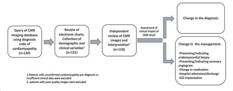 Algorithm Of Study Design Cohort Selection Download Scientific