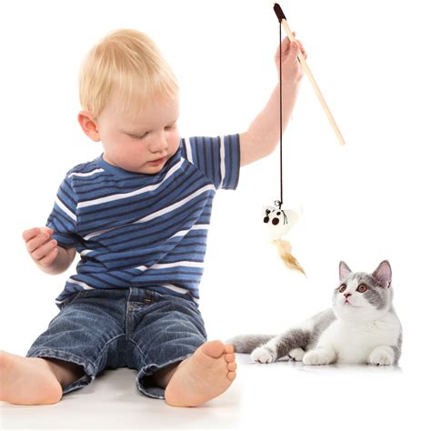 Cat Toy Teasing Cat Stick Feather Suzuki Teasing Cat Stick Wooden Stick