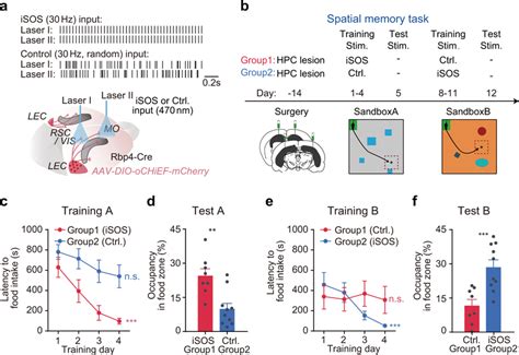 Application Of Isos But Not Asynchronous Cortical Axonal Activation