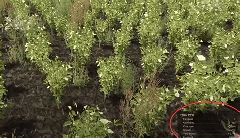 How To Maximize Yield In Farming Simulator 25 Item Level Gaming
