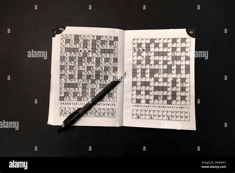 Codebreaker Puzzle Book And Pen Stock Photo Alamy