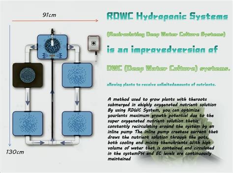 Rdwc Clone Bucket Hydroponics Growing System 4 6 8 10 18 Buckets Custom