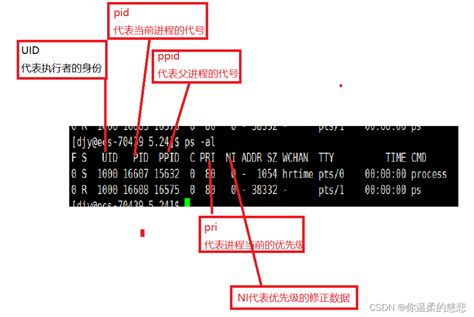 Linux 进程的优先级linux 进程优先级 Csdn博客