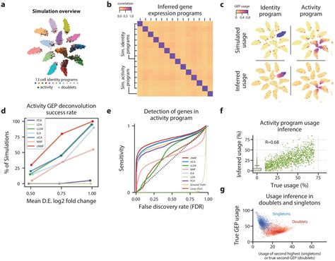 Identifying Gene Expression Programs Of Cell Type Identity And Cellular