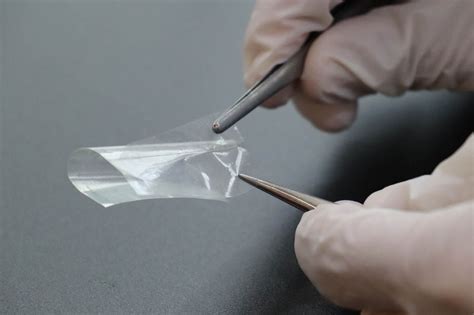 El Futuro De Los Envases Flexibles Multicapa Se Llama Merlin