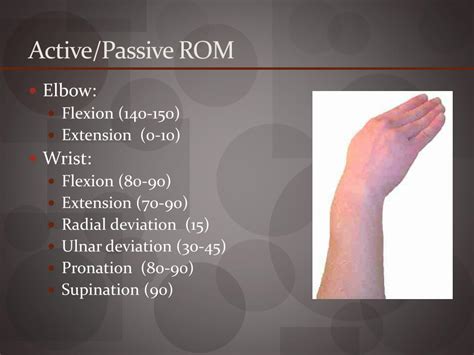 Ppt Elbow Evaluation Powerpoint Presentation Free Download Id2188562