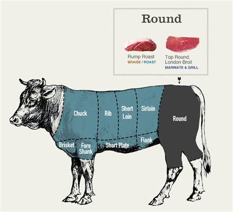 Rump Roast Diagram M5 Beef Recipes Daily Life At Five Marys