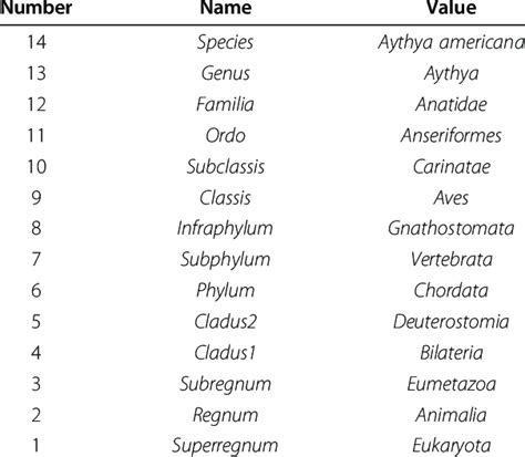 linnaean taxonomy chart