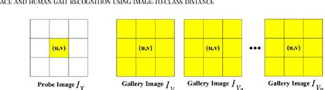 Figure 1 From Face And Human Gait Recognition Using Image To Class Distance Semantic Scholar