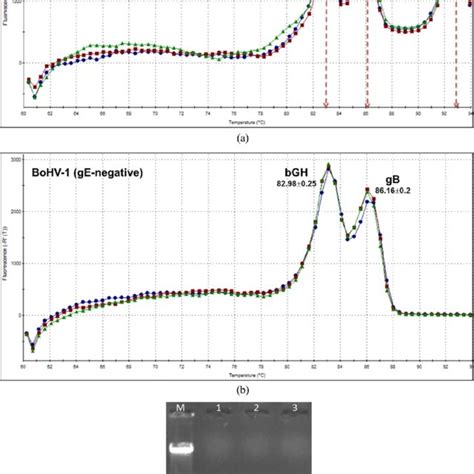 The Melting Curve Analysis Of Amplified Products After Evagreen Based