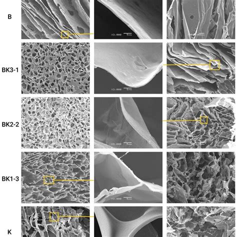 Microstructure Visualization From Parallel And Perpendicular Sections
