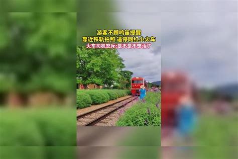 游客不顾鸣笛提醒，靠近铁轨拍照，逼停网红小火车，火车司机怒斥是不是不想活了