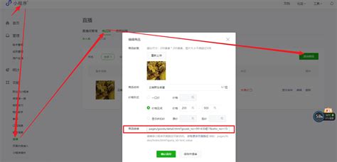 开通、绑定微信小程序直播详细步骤