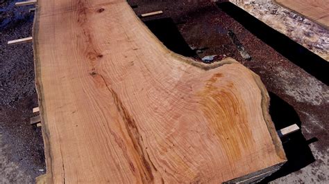 Another Amazing Chunk Of The Giant Cherry Tree Matt Cremona