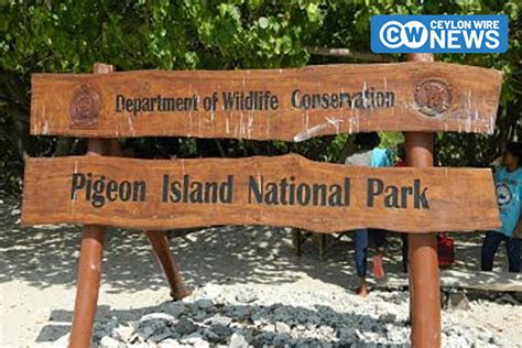 පරෙවි දූපත හදිසියේ වසාදමයි Ceylonwire