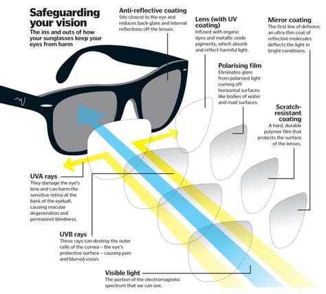 Different Types Of Sunglasses And Their Names At Christy Calvin Blog