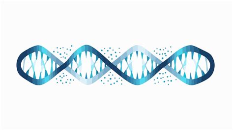Detailed Illustration Of Human Dna Segment On White Background Premium Ai Generated Vector