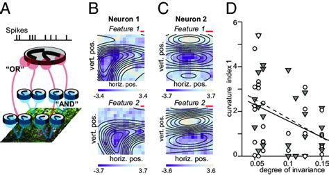 Estimating Feature Selectivity Of V4 Neurons With Natural Stimuli A Download Scientific