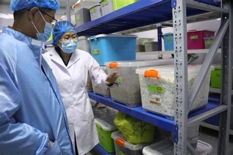 Үндэсний үйлдвэрлэгч Одь Тан ХХК Хүнсний хувьсгалд нэгдлээ