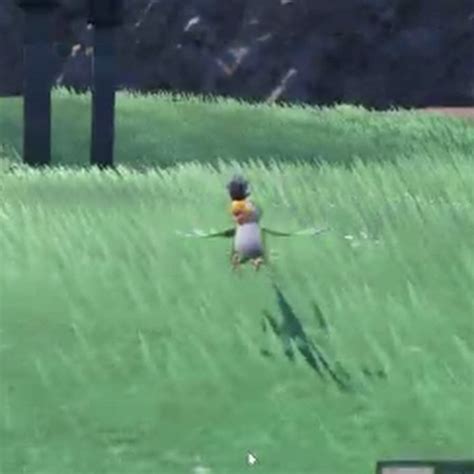 Squawkabilly Youtube