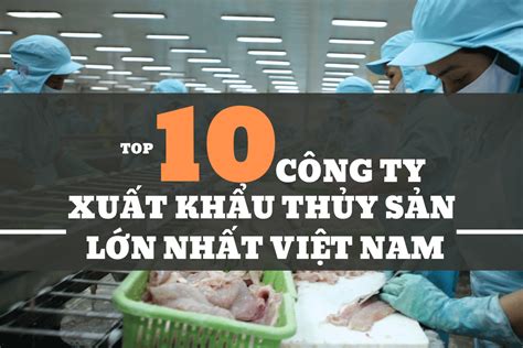 Top 13 Cong Ty Thuy San Mới Nhất Năm 2023 Kiến Thức Cho Người Lao