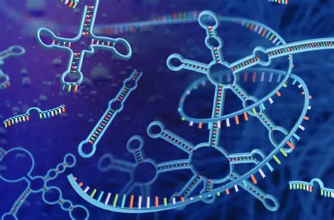 NIH Adds Its Voice To Call For Expanding RNA Research Science AAAS