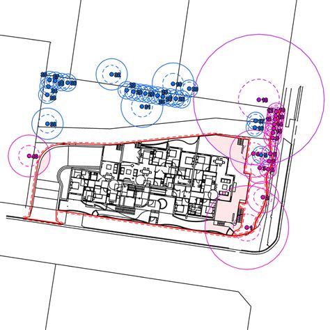 Arboricultural Impact Assessment NSW Tree Survey