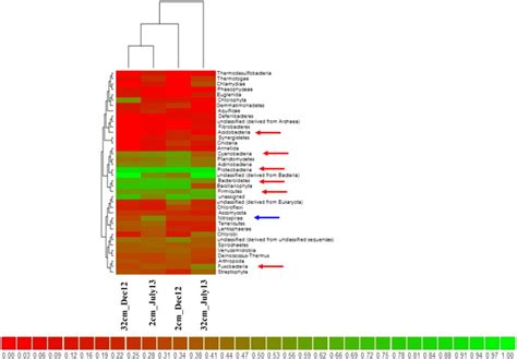 Hierarchical Ward Clustering Heat Map Generated From Taxonomic Download Scientific Diagram