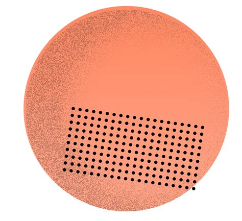 Blackbear Ai And Automation Experts