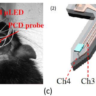Performance summary of recently published µLED on optrode structure