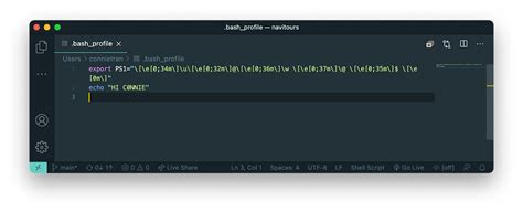 How To Customize Your Terminal Prompt With Vscode By Connie Tran