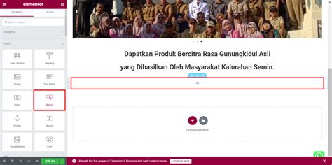 21 Cara Membuat Landingpage Dengan Elementor Konsultan Bisnis Satoeasa