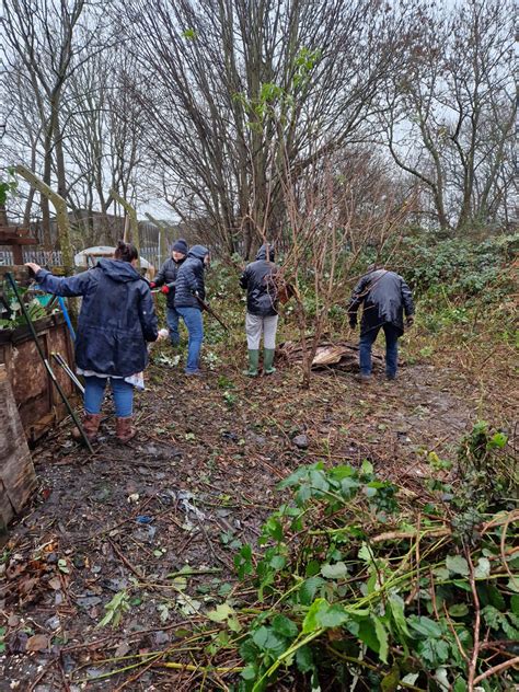 Plot News Bellburn Lane Allotment Assocation Plot News Bellburn Lane Allotment Assocation