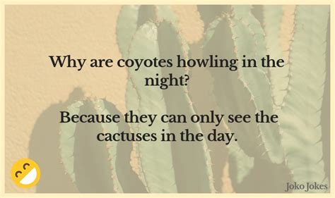 44 Cactus Jokes And Funny Puns Jokojokes