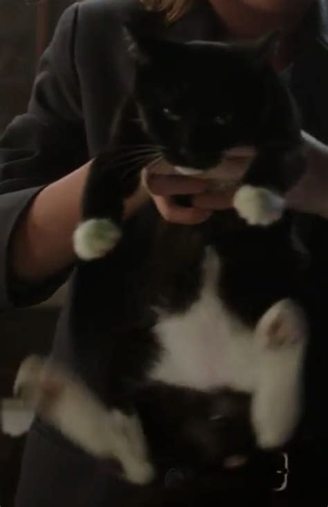 Cliff Live Action The Loud House Encyclopedia Fandom