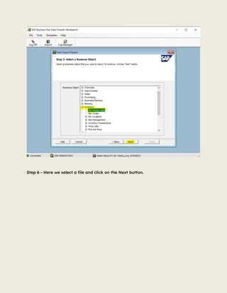 SAP Business One Data Transfer Workbench Tool PDF