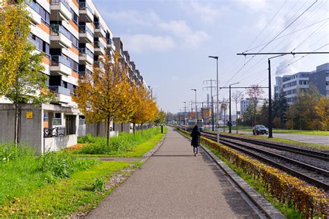 화창한 가을날 취리히 도시 사이의 11 번 트램 목적지 Auzelg가있는 트램 웨이의 경치 좋은 전망 11에 대한 스톡 사진 및 기타 이미지 Istock