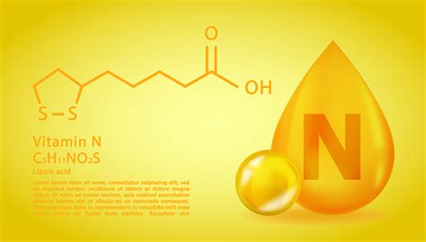 현실적인 N 리포산 비타민 방울 구조 화학 공식 3d 비타민 분자 N 리포산 디자인 알약 캡슐을 떨어 뜨립니다 3차원 형태에 대한 스톡 벡터 아트 및 기타 이미지 Istock