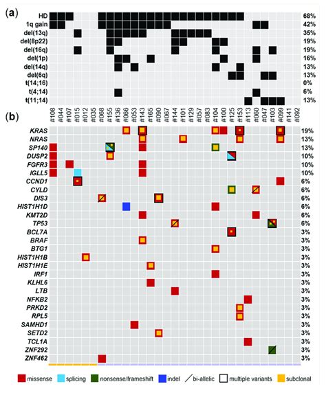 Overview Of Genomic Aberrations And Gene Mutations In Asymptomatic Download Scientific Diagram