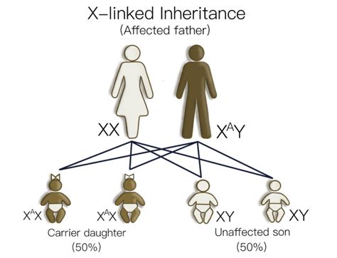 X Linked Recessive