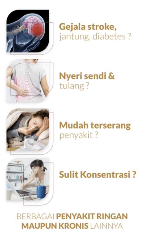 Kalung Kesehatan Biji Jenitri Jual Gelang Tasbih Kayu Dan Batu Asli 100