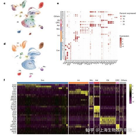 【if 25】单细胞核测序 空间转录组测序：背外侧前额叶皮层与社会压力相关的抑郁行为分子机制研究 知乎