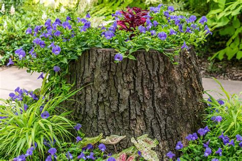 How To Make A Tree Stump Planter Garden Lovers Club