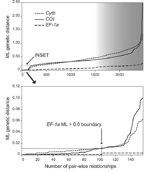 Sample Distributions Of Maximum Likelihood Pair Wise Genetic Distance Download Scientific