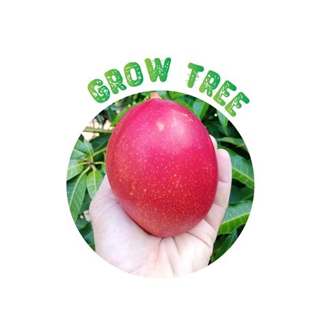 ازرع شجرة Grow Tree