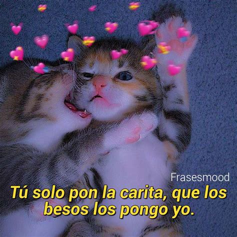 Yo Pongo Los Besos Frases Bonitas Para Novios Piropos Bonitos